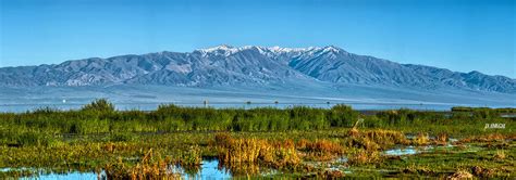 Дээж студио Хан Жаргалант уул Хатан Хар Ус нуур мину Facebook