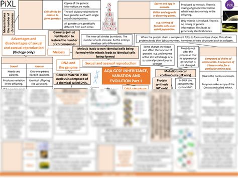 SOLUTION 6 Aqa Biology Inheritance Variation Evolution Knowledge Mat