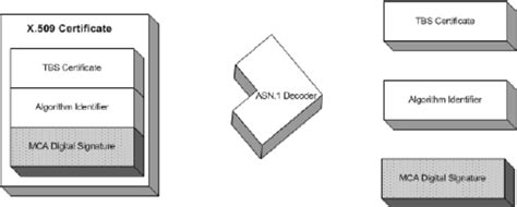Parsing Of An X509v3 Certificate Download Scientific Diagram