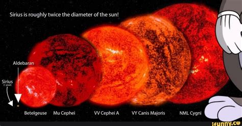 Vv Cephei Compared To Vy Canis Majoris