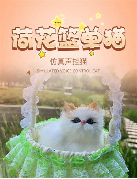 B S U T P H Nh M O Con C C Ch T Full K V I H N H Nh Nh