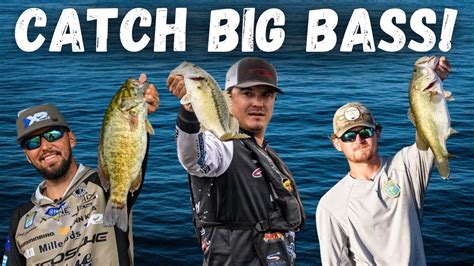 Secrets For Catching Giant Bass From The Bassmaster Pros Youtube