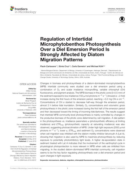 Pdf Regulation Of Intertidal Microphytobenthos Photosynthesis Over A