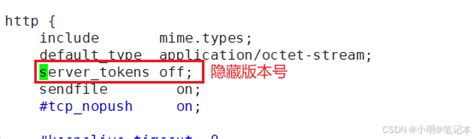 nginx如何隐藏版本号 nginx隐藏版本号 csdn博客