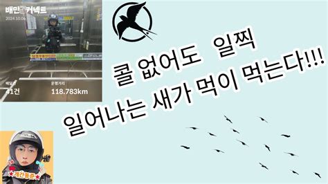 일찍 일어나는 새가 먹이 먹는다 배달기사 Vlog Youtube