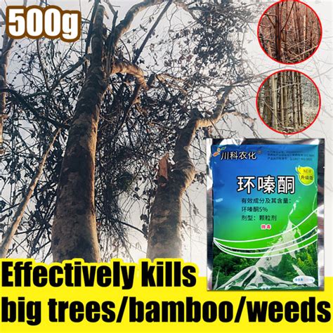 💥pp Herbicide To Kill Tree 3 Seconds To Remove Big Trees Kill Tree And