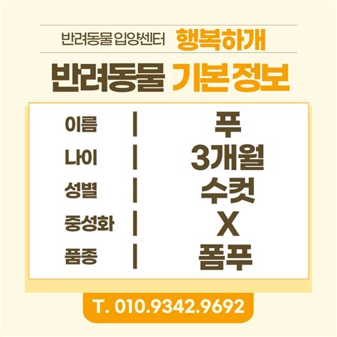 강아지와 고양이와 함께 행복하개 남양주 신기한 외모를 가지고 있는 푸랍니다 푸는 포메라니안과 푸들 사이에서 태어난 아이라고 해요 그래서인지 포메라니안의