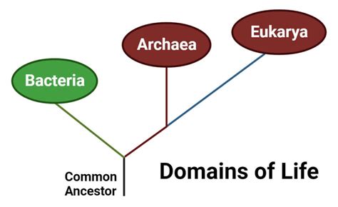 Archaea Habitat Characteristics Classification Applications
