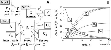 The Considered Kinetic Schemes And Simulations A Schemes 1 And 2 Show Download Scientific