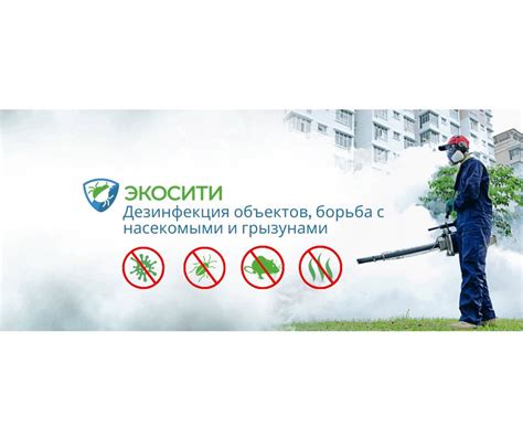 Экосити - Дезинфекция| Дезинсекция| Дератизация