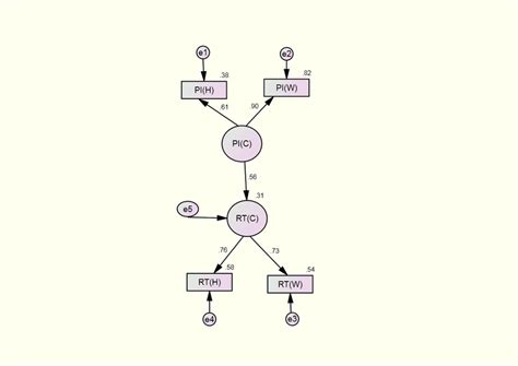 A Complex Multivariate Model Measuring Partner Interference As