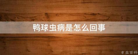 鸭球虫病是怎么回事 业百科