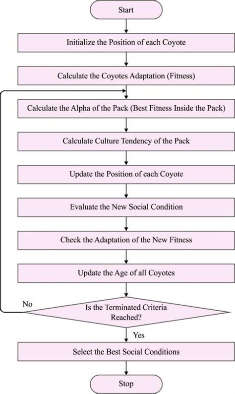 Flowchart Of Coa [20] Download Scientific Diagram
