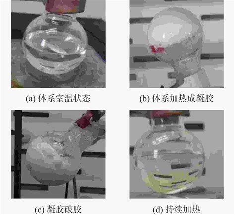 页岩气藏压裂暂堵超分子凝胶体系研究