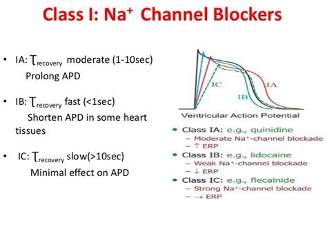 Antiarrhythmic Classes Chart A Visual Reference Of Charts Chart Master