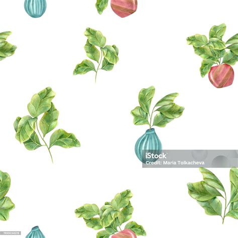 푸른 세라믹 냄비에 거대한 녹색 잎 바이올린 잎 무화과 실내 장식이 있는 관엽 식물 원활한 패턴 흰색에 고립된 수채화 그림입니다 직물 포장 스크랩북을 위해 0명에 대한 스톡