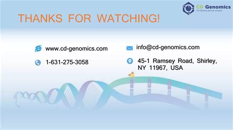 Sequencing Based Approaches For Profiling Dna Methylation Ppt