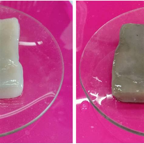 Bacterial Cellulose Nata De Coco A Immersed In Agno3 Solution And Download Scientific