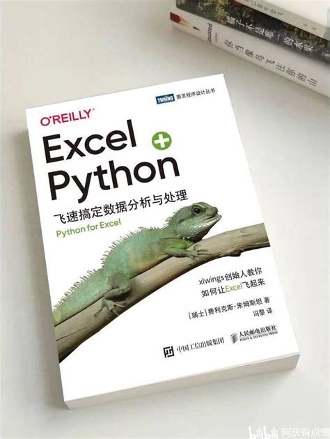 Pythonexcel飞速搞定数据分析与处理电子书！无偿分享！ 哔哩哔哩