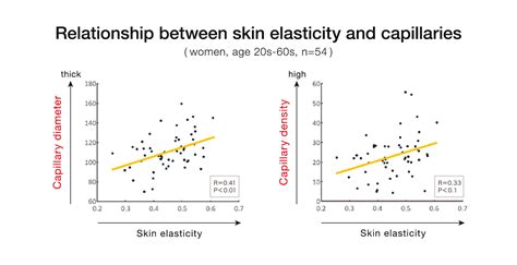 Skin Capillaries Closely Linked With Skin Elasticity Introducing
