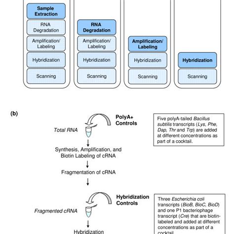 Overview Of The Classes Of Controls Internal And External Used Within