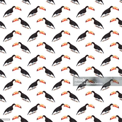 밝은 멋진 아름 다운 사랑 스러운 정교한 정글 열 대 흑인과 백인 큰부리새 새 대각선 패턴 수채화 손 그림 귀여운에 대한 스톡