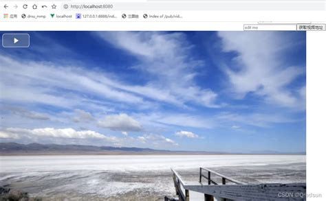 Vue Dplayer和vue Video Player播放本地dplayer播放本地视频 Csdn博客