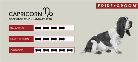 Dog Astrology Decode Your Dogs Personality By Exploring Their Zodiac Sign
