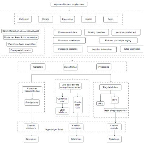 Multi Chain Traceability Model Of Agaricus Bisporus For Traceability Download Scientific