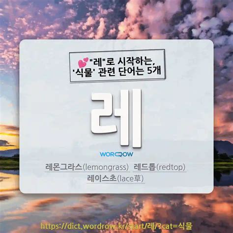 국어사전에서 💕레로 시작하는 식물 관련 단어는 5개