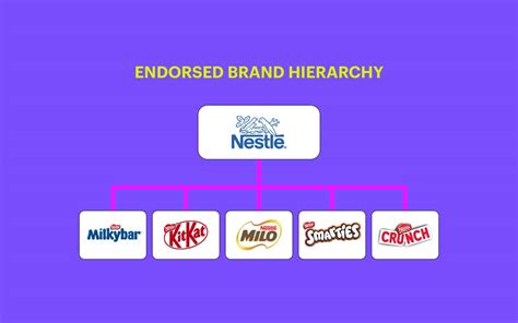Brand Hierarchy Examples What It Is Why It Matters