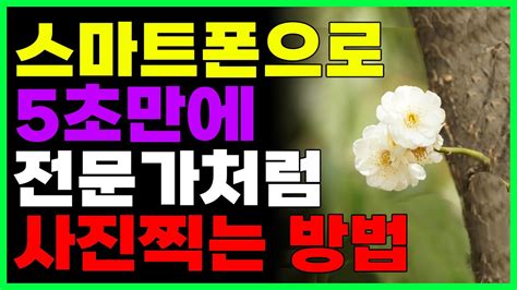 스마트폰으로 5초만에 전문가처럼 사진찍기 쉽게 아웃포커싱 하는 방법 Youtube