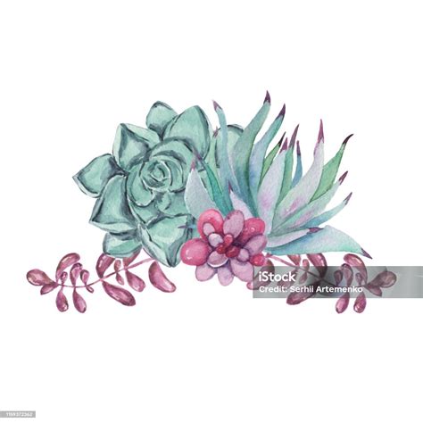 수채화 즙이 많은 조성물 직물 엽서 결혼식 또는 인사말 카드 책 포스터 티셔츠 배너 엠블럼 로고에 대한 수채화 그래픽 그림 격리된 개체입니다 0명에 대한 스톡 벡터 아트 및