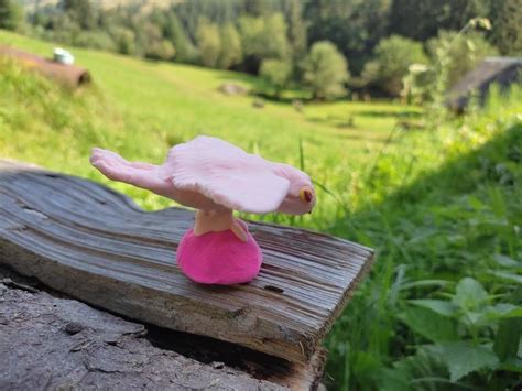 Пташка сапсан — ціна 60 грн у каталозі Статуетки Купити товари для дому та побуту за доступною