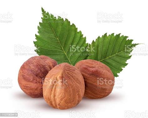 잎이 있는 3 개의 껍질을 벗 긴 헤이즐넛 신선한 유기농 필 버트 0명에 대한 스톡 사진 및 기타 이미지 0명 갈색 개암나무 Istock
