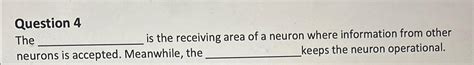 Solved Question 4the Is The Receiving Area Of A Neuron Where