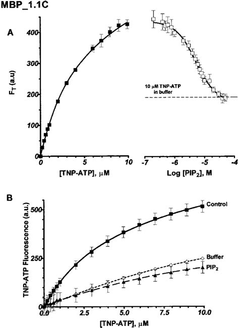 Pip2 Reduces Tnp Atp Binding To The Cooh Terminal Mbp Fusion Protein Of