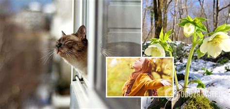 Погода в Україні народний синоптик прогнозує аномальне потепління у січні прогноз погоди на