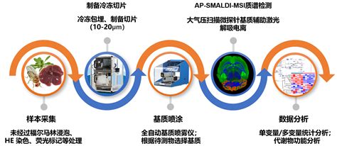功能代谢组学 代谢组学 空间代谢组学 离子组学 蛋白质组学 多组学 阿趣生物官网