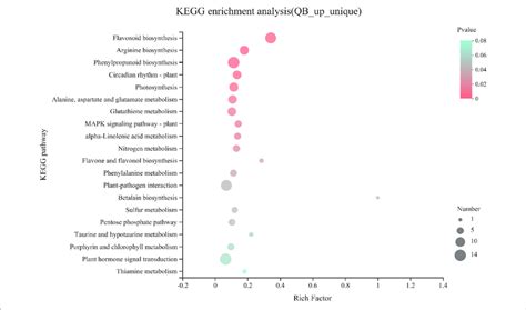 Kegg Pathway Enrichment Analysis Of Gene Sets Including Upregulated Download Scientific