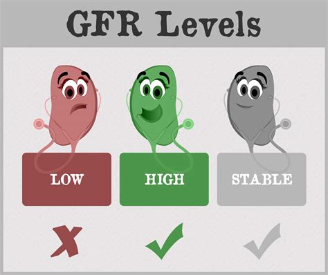 Glomerular Filtration Rate Gfr Gaytri Manek Formerly Gandotra Md
