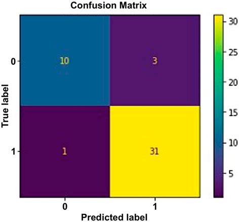 An Innovative Random Forest Based Model To Assess The Health Impacts Of