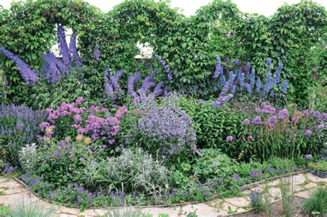 Amazing Flower Beds With Delphiniums 12 Valuable Tips And Ideas
