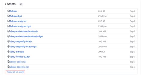 从零开始搭建v2ray Xraywindows njj s blog