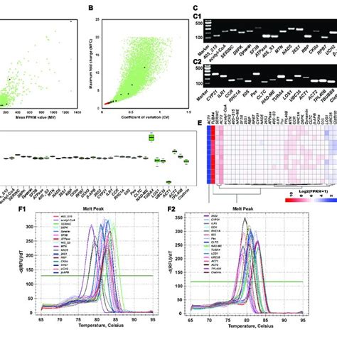 Selection Of Candidate Reference Genes A Sd Standard Deviation Of