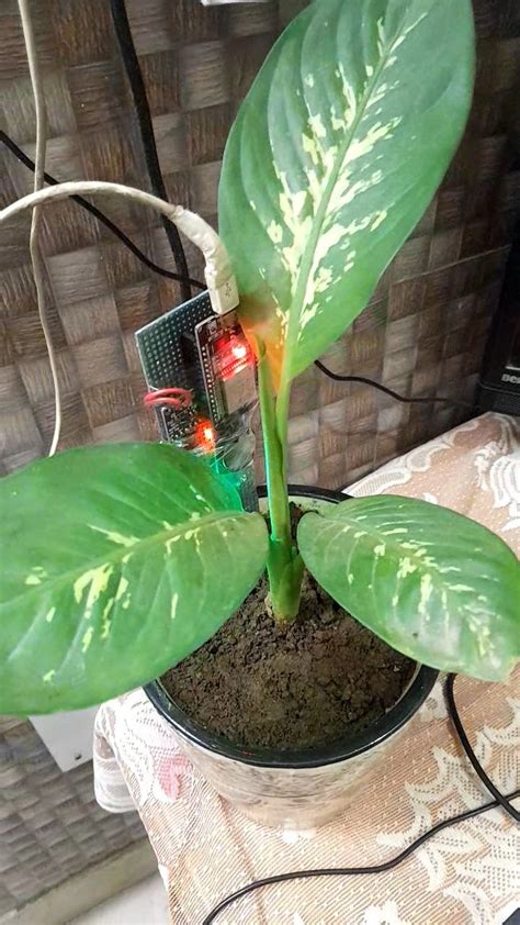 Shivam Kumar On Linkedin Iot Personalproject Smartgardening