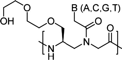 Chemical Structure Of Gamma Pna γpna Containing An Ethylene Glycol Download Scientific