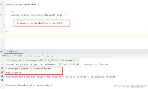 Java Agent 配置不生效 （哭笑不得的坑） Javaagent参数无效 Csdn博客