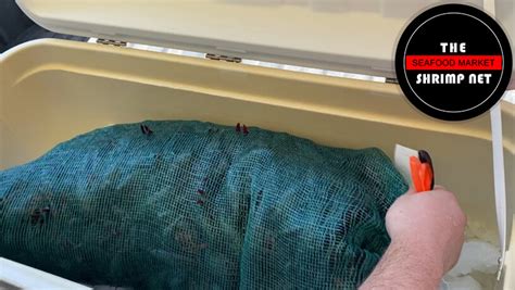 How To Keep Crawfish Alive For Longer Time The Shrimp Net Fish Fresh