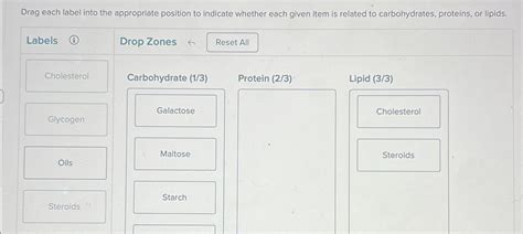 solved drag each label into the appropriate position to